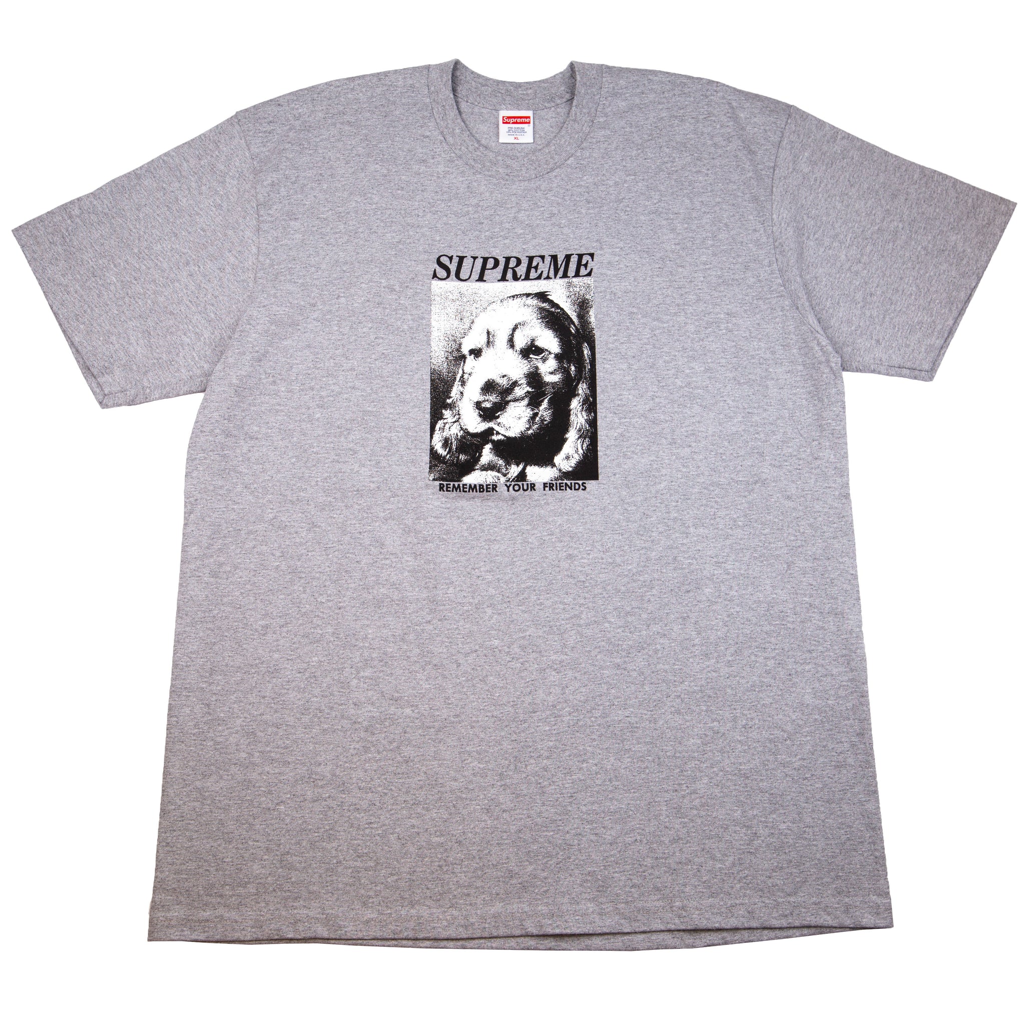 Supreme Grey Remember Tee – On The Arm